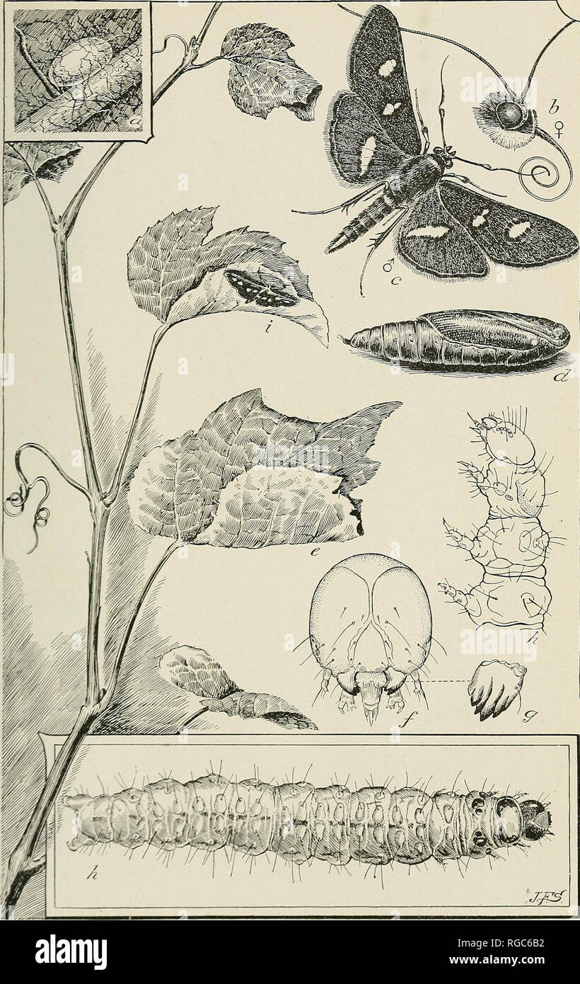 419 kw hi-res stock photography and images - Alamy