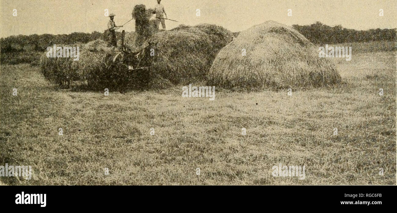 Nex method hi-res stock photography and images - Alamy