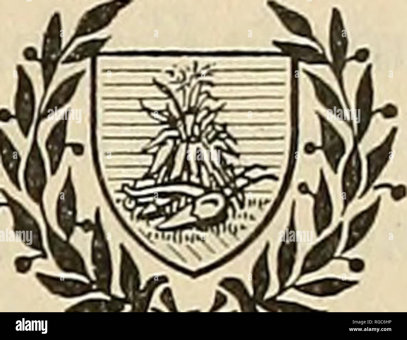 Hegari hi-res stock photography and images - Alamy