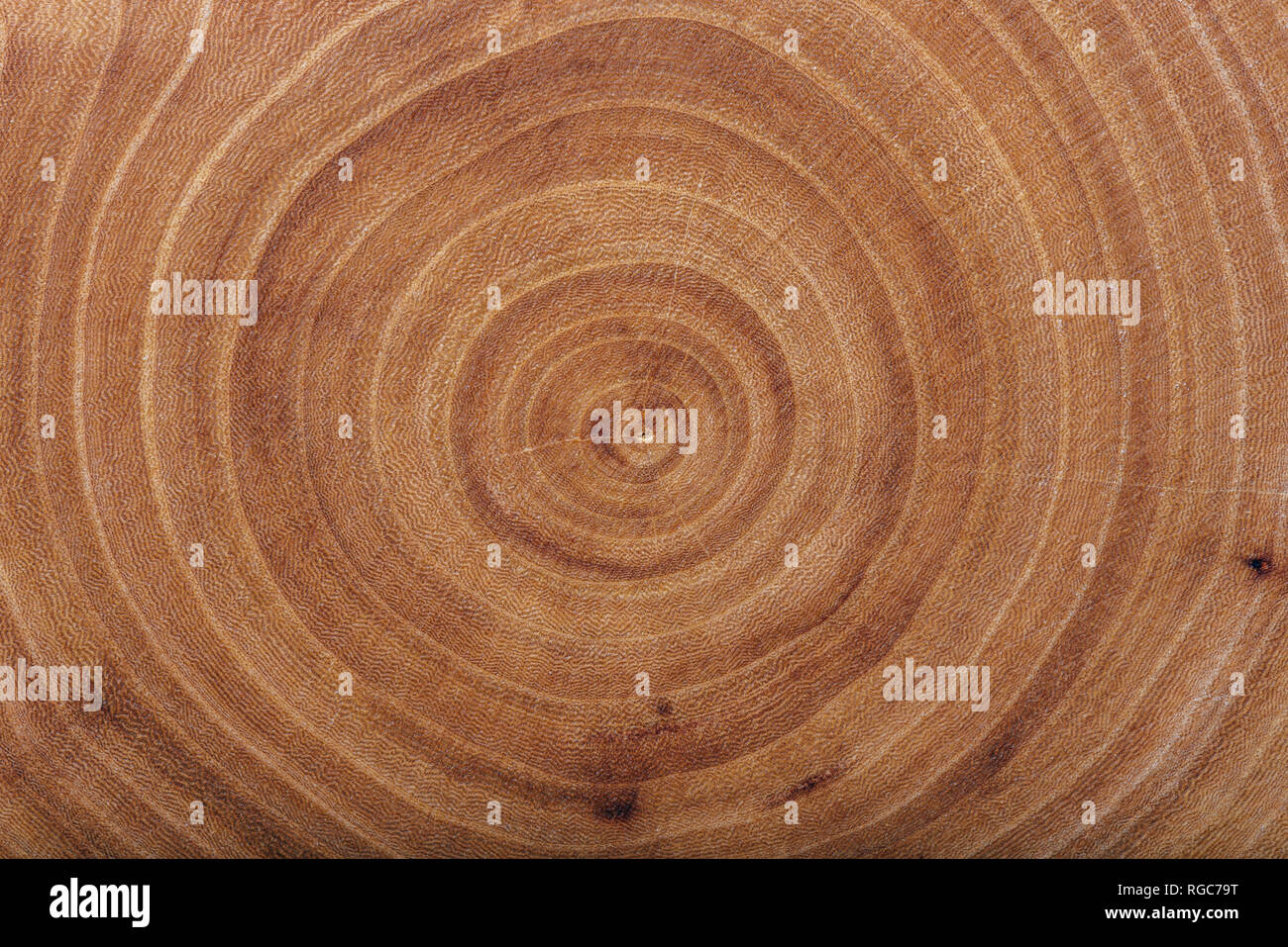 Ash wood slab texture with annual rings, background or wallpaper Stock ...