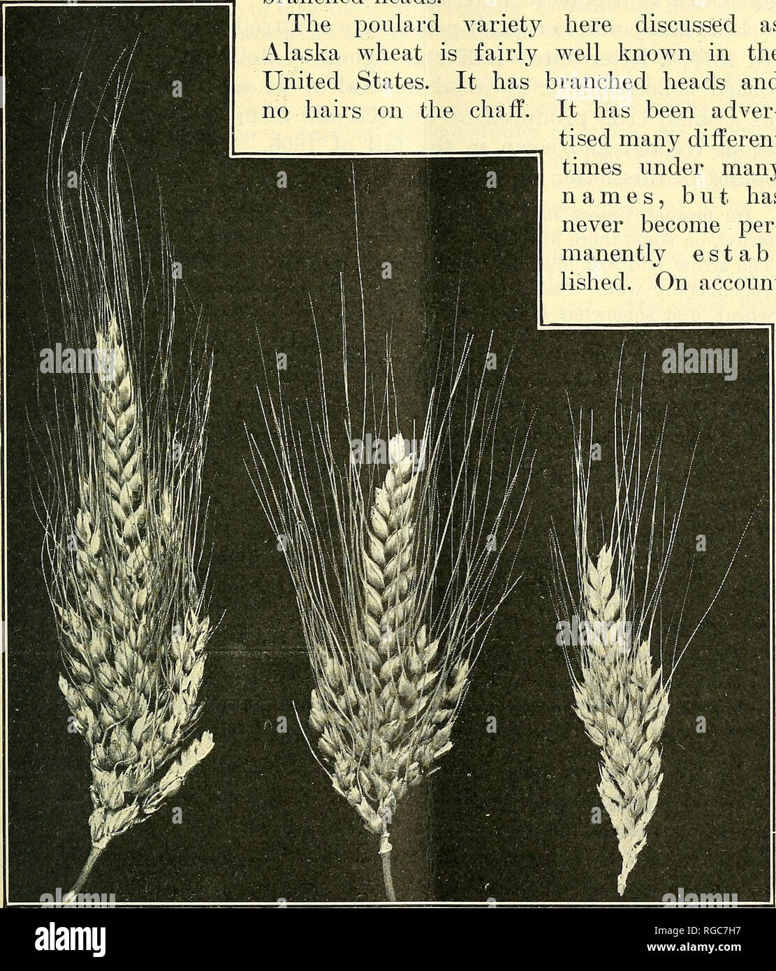 . Bulletin of the U.S. Department of Agriculture. Agriculture ...