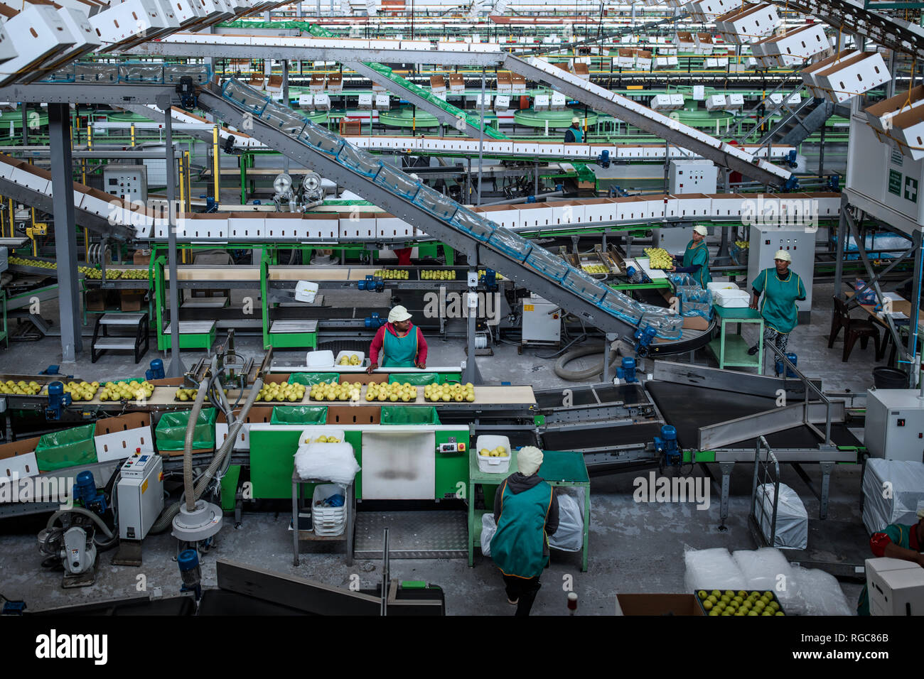 People working factory hi-res stock photography and images - Alamy