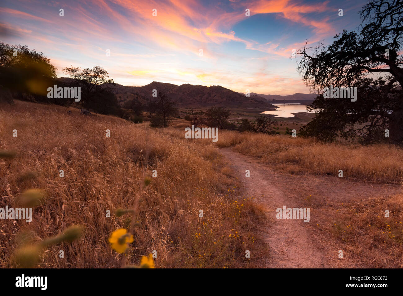 Outdoor lakes and trees in the evening hi-res stock photography and ...