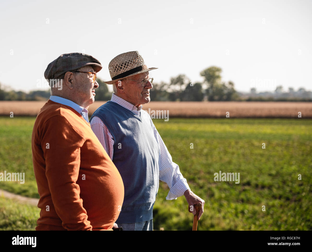 Two old friends standing in the fields, talking about old times Stock ...
