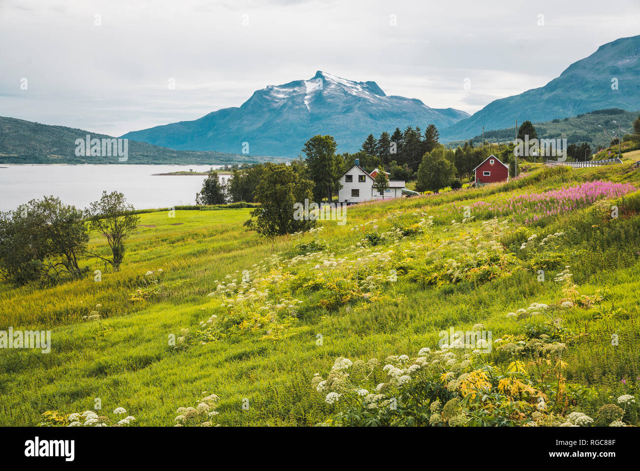 Northern Norway, Lapland, Landscape at a fjord Stock Photo - Alamy