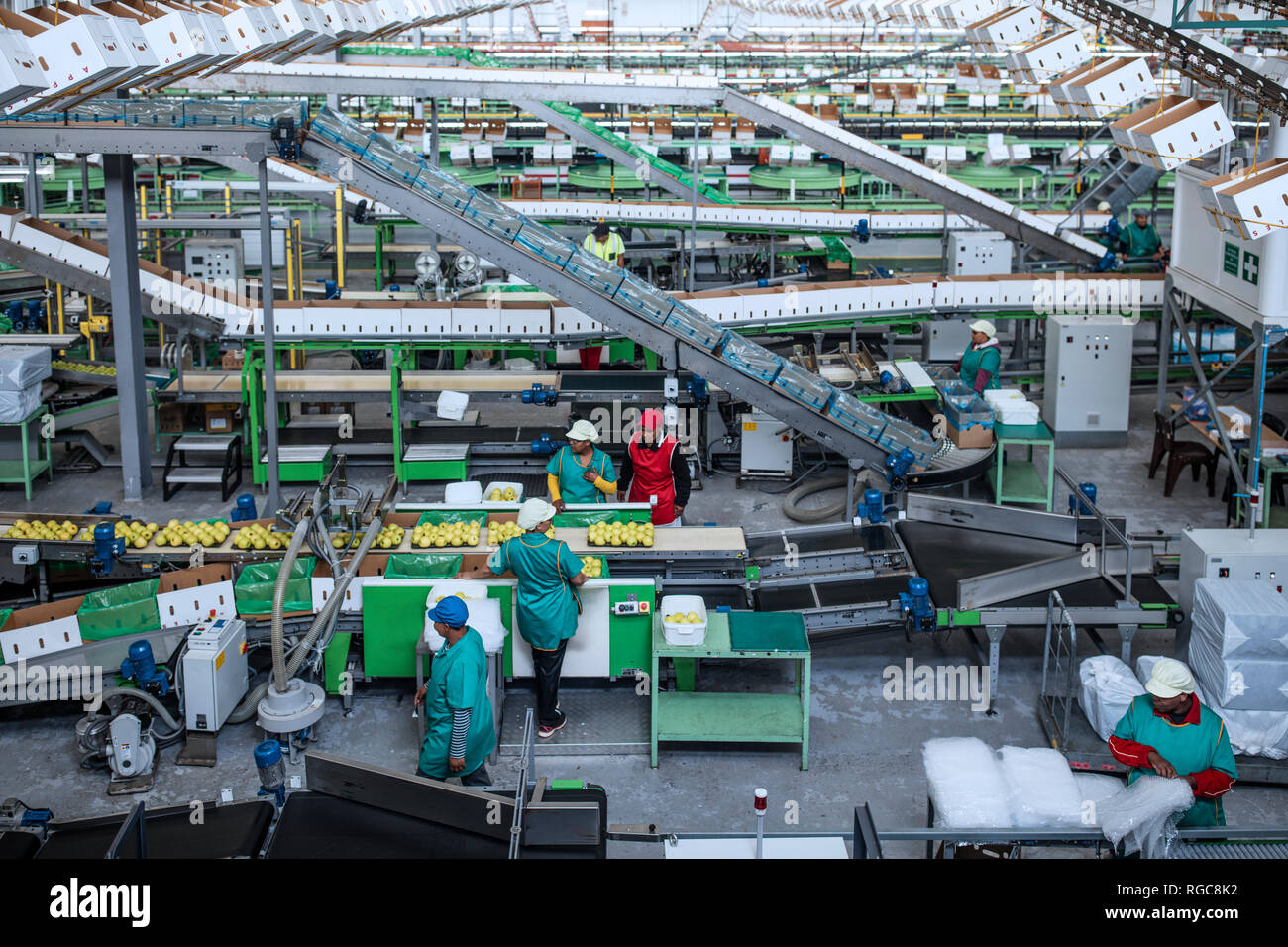 People working in apple factory Stock Photo - Alamy