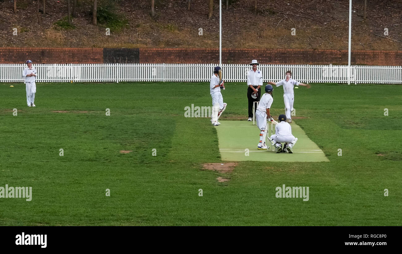 Children with cricket bat and ball hi-res stock photography and images ...