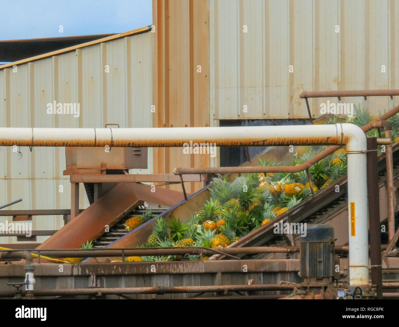 Dole factory hi-res stock photography and images - Alamy