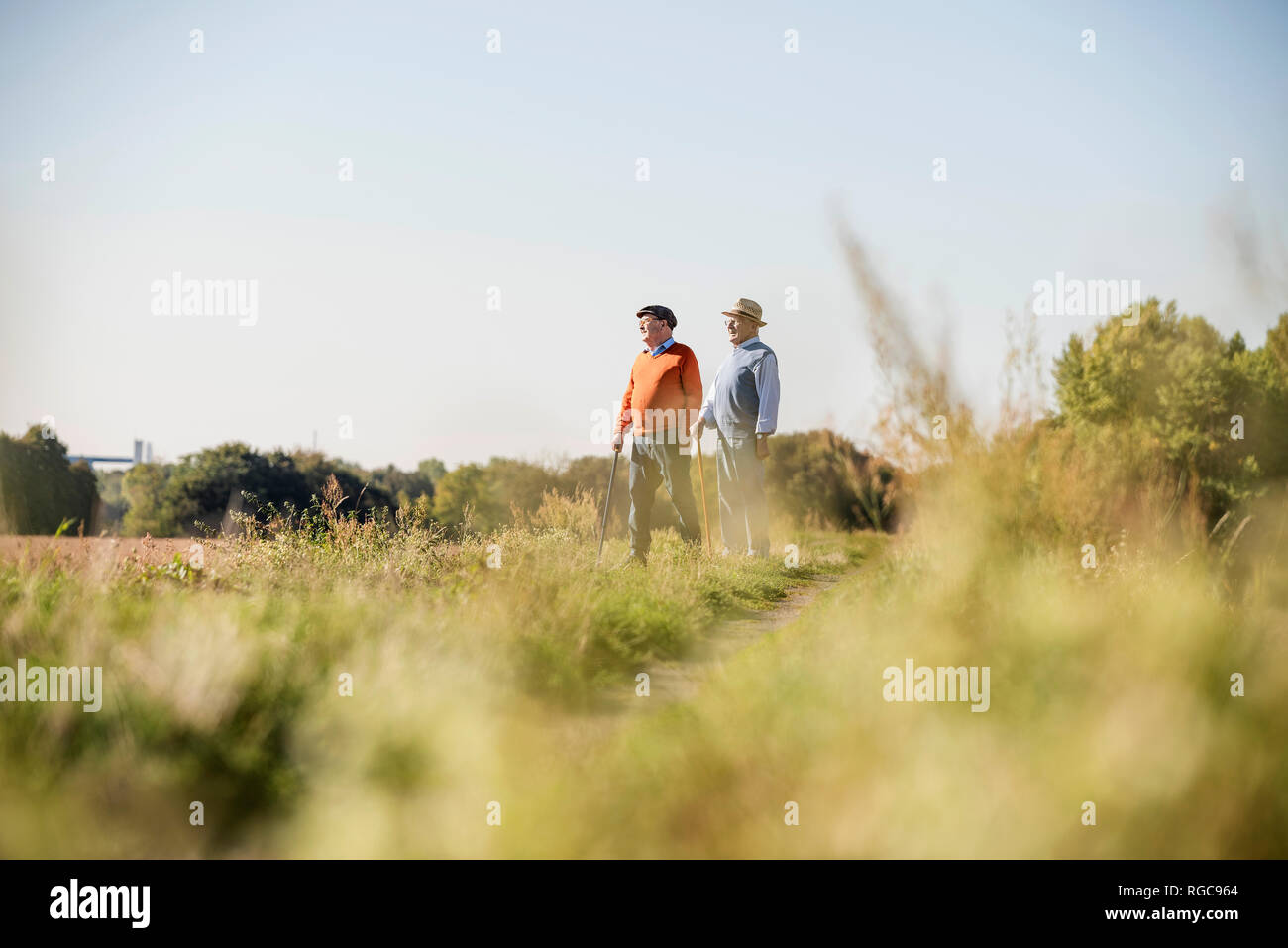 Two old friends taking a stroll through the fields, talking about old ...