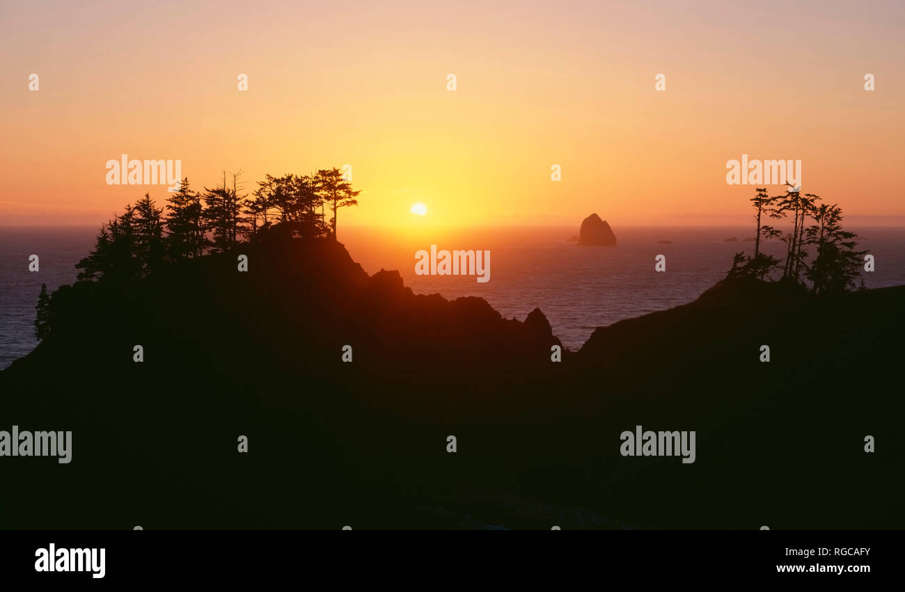 USA, Oregon, Samuel Boardman State Park, Setting sun silhouettes ...