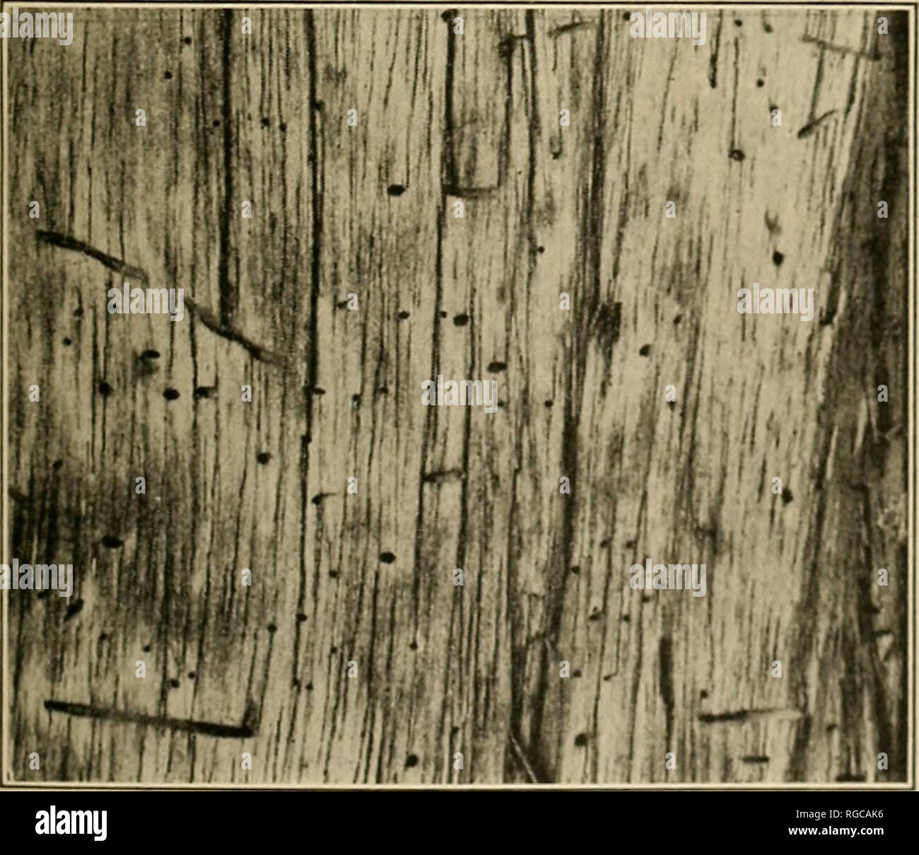 3 pinholes hi-res stock photography and images - Alamy