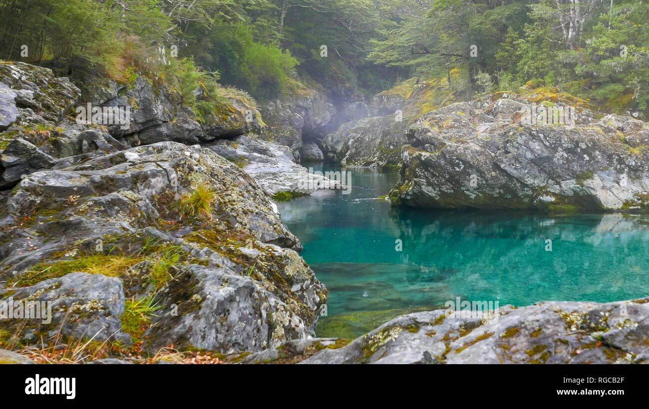 a shot of a beautiful gorge on the crystal clear caples river in new ...