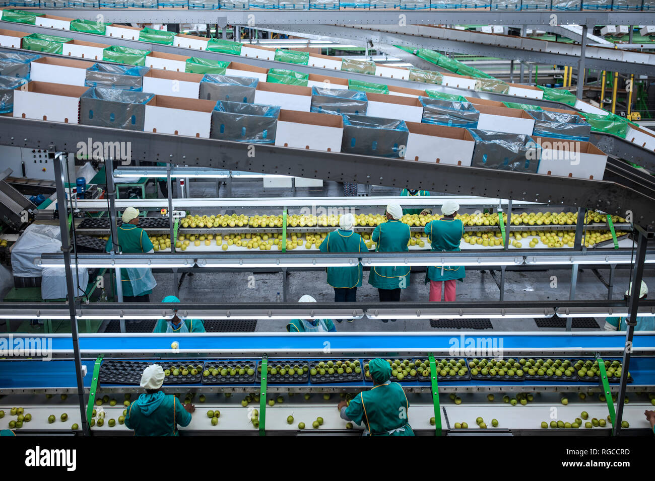 Women working in apple factory Stock Photo - Alamy