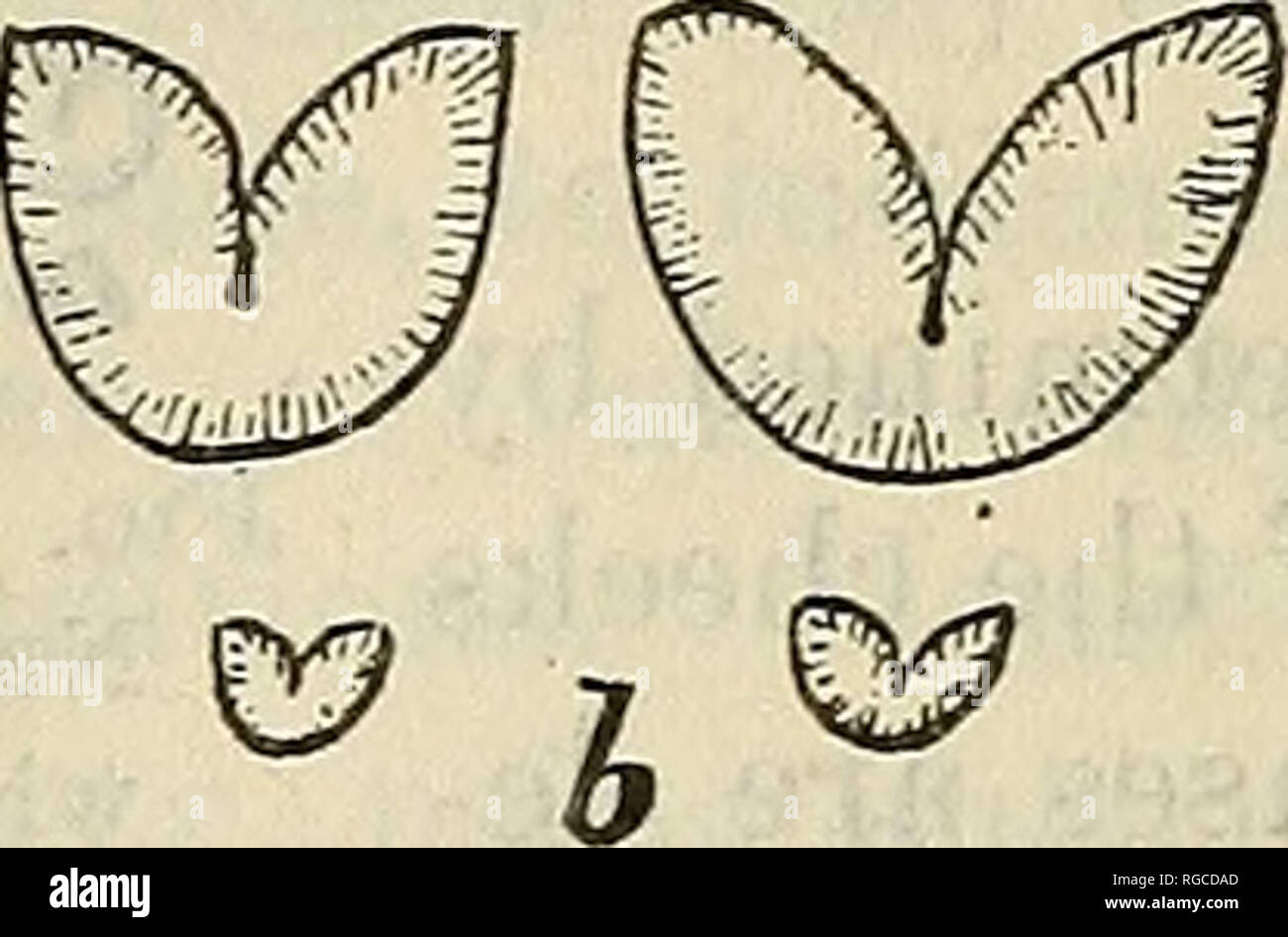 . Bulletin of the U.S. Department of Agriculture. Agriculture ...