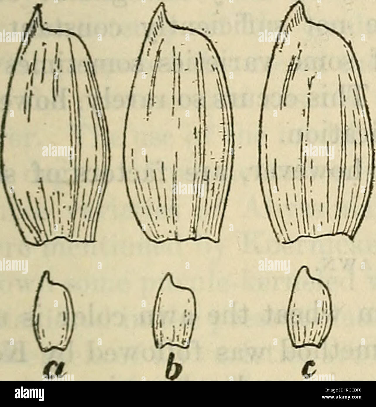 . Bulletin of the U.S. Department of Agriculture. Agriculture ...