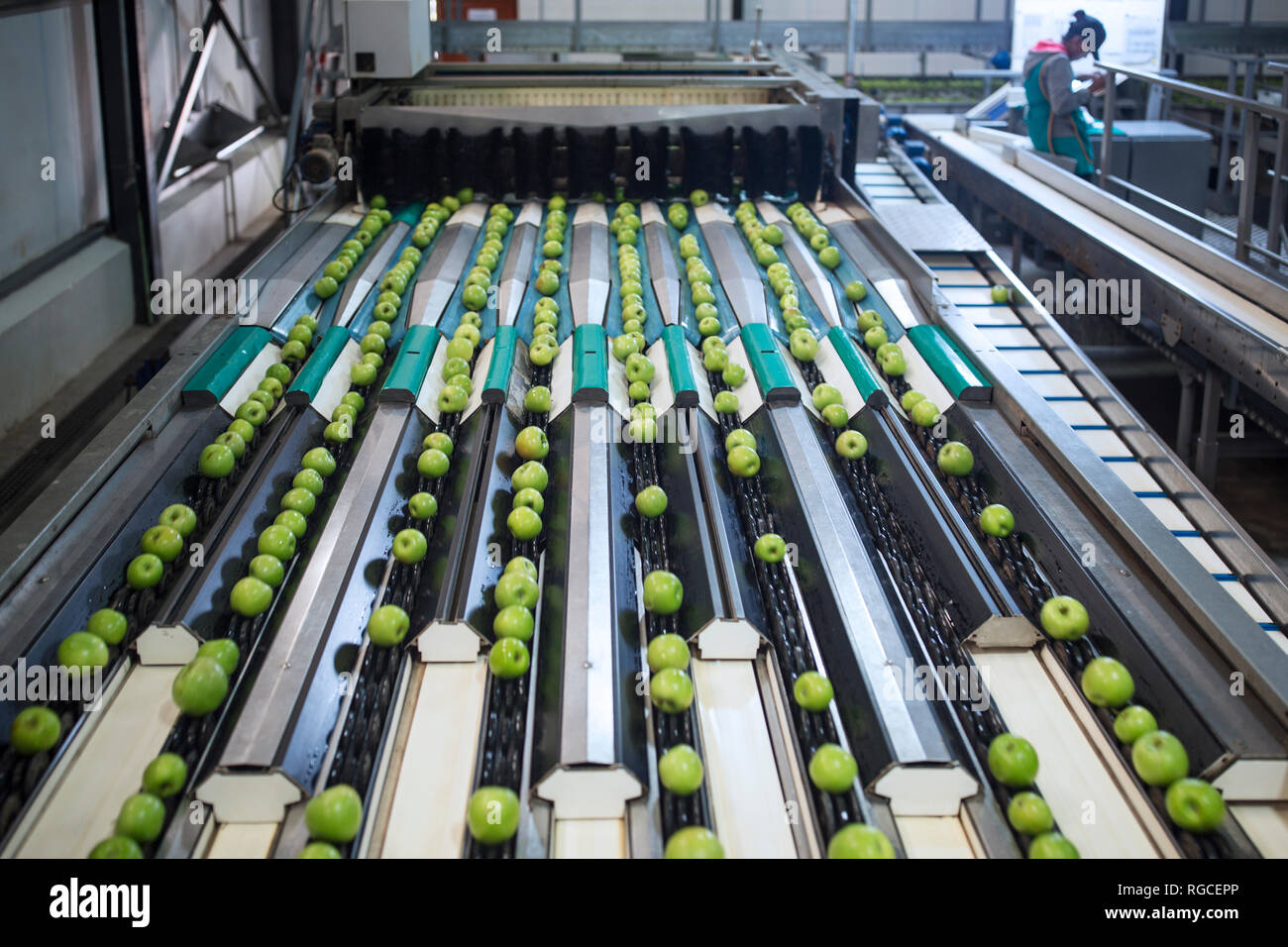 Fruit processing factory hi-res stock photography and images - Alamy