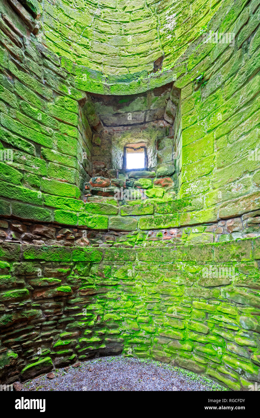 Castle wall moss hi-res stock photography and images - Alamy