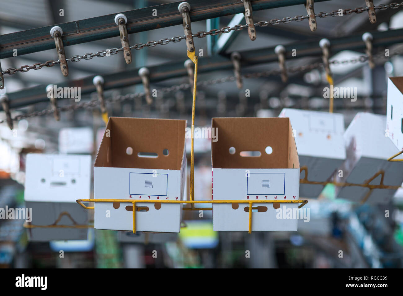 Cardboard boxes in a factory Stock Photo - Alamy
