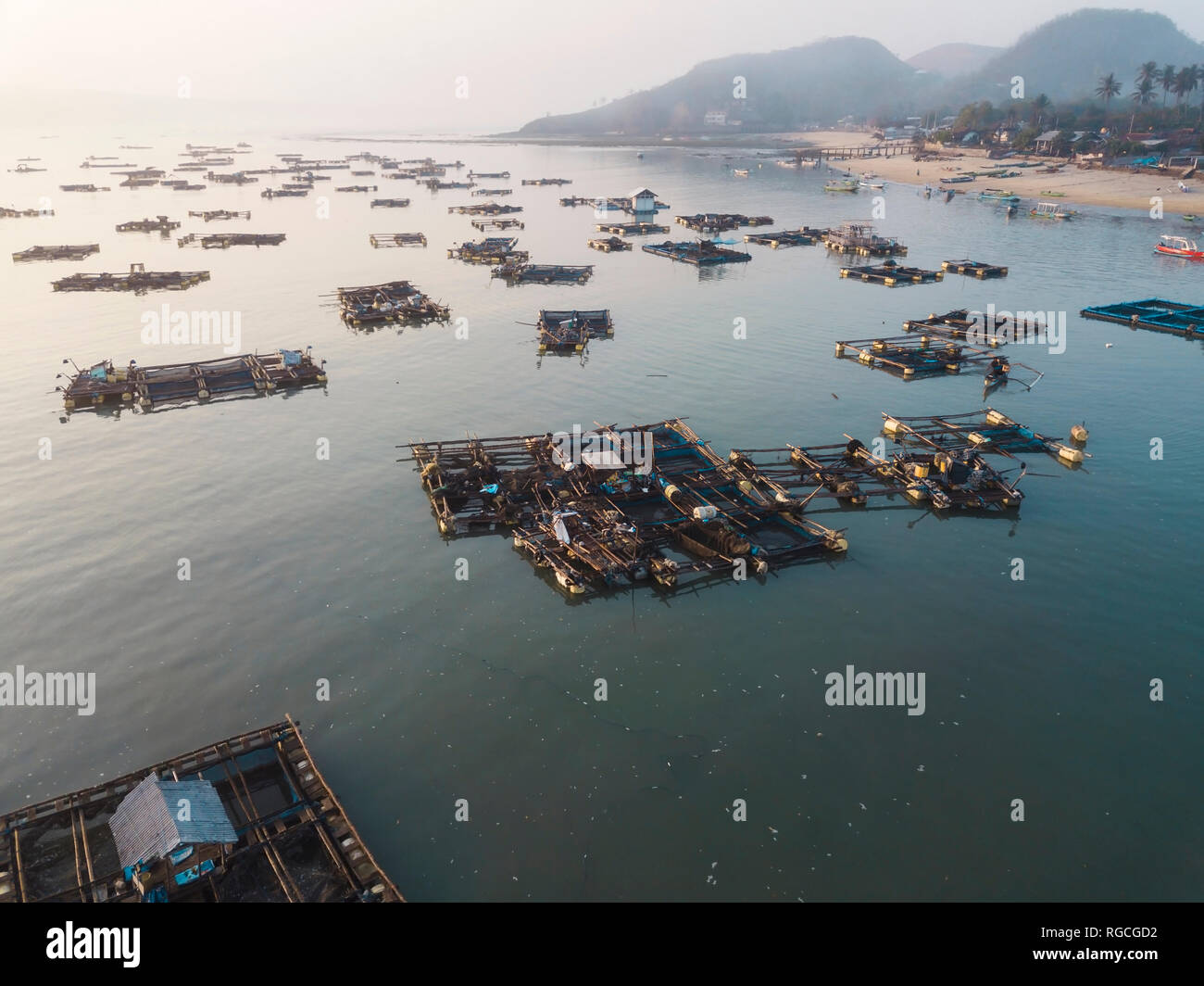 Indian ocean lobsters hi-res stock photography and images - Alamy