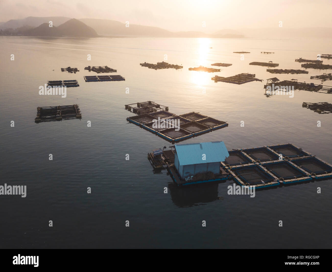 Indian ocean lobsters hi-res stock photography and images - Alamy