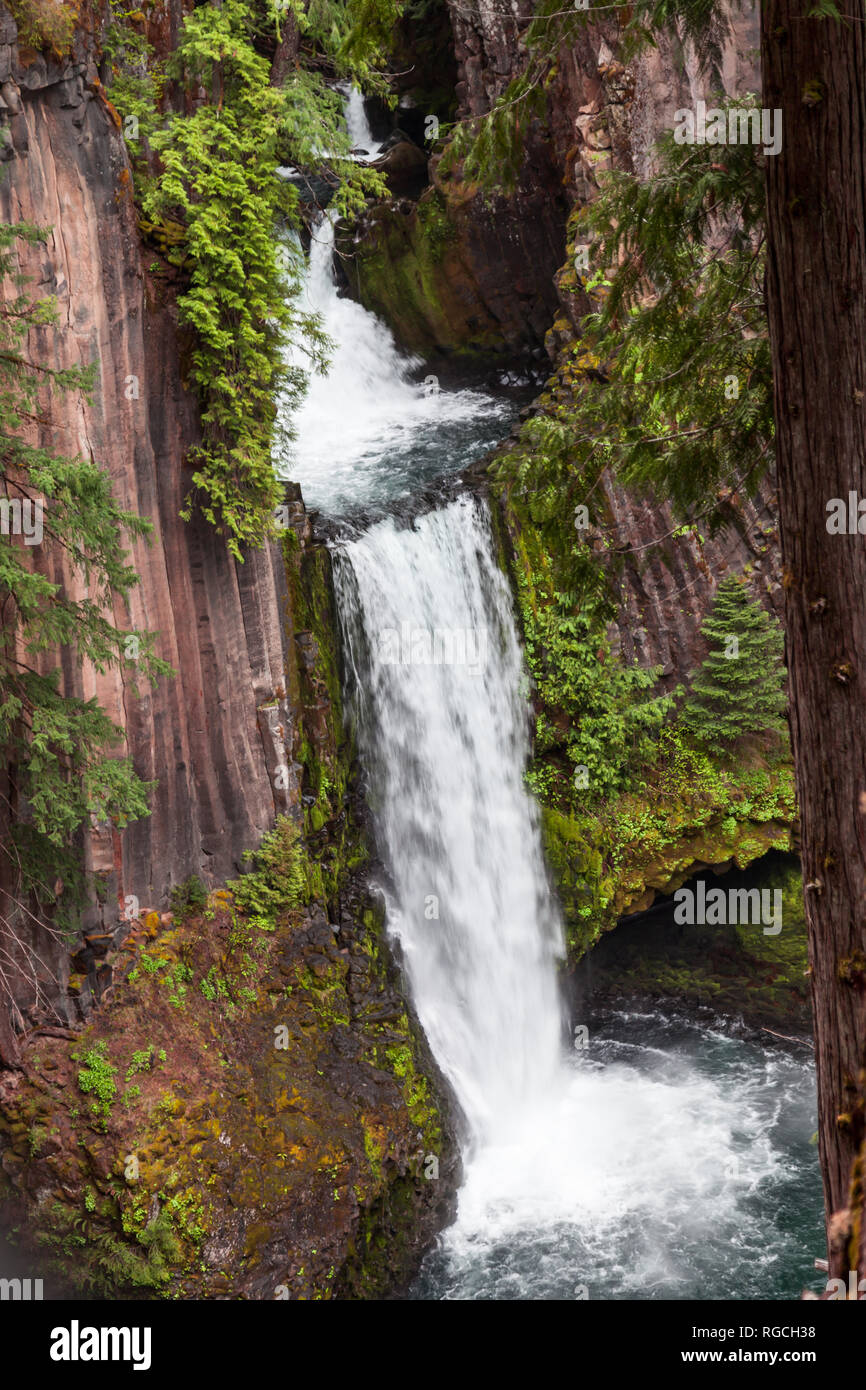 The North Umpqua River flowing over three tiers of columnar basalt ...