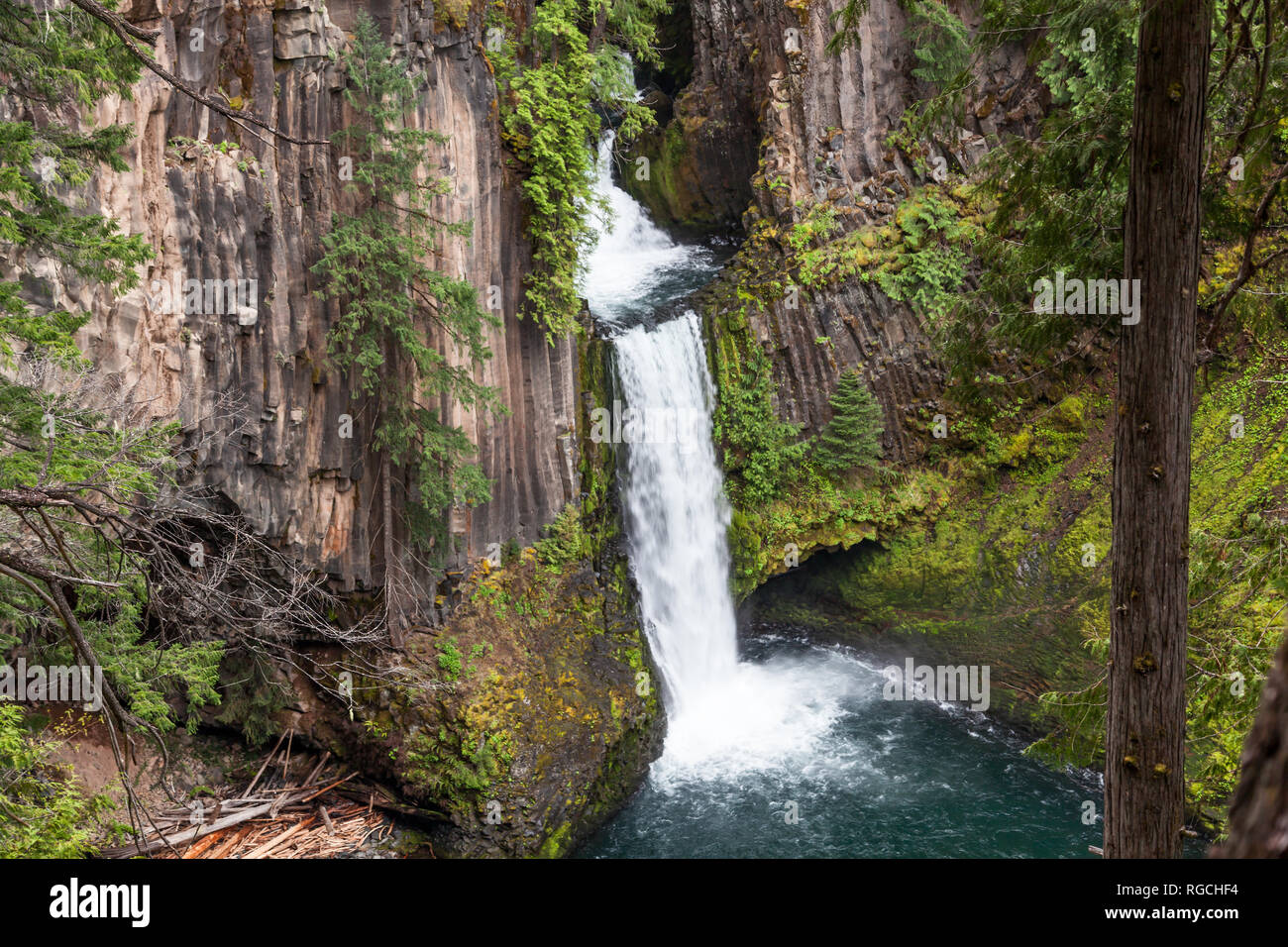 Pristine logs hi-res stock photography and images - Alamy