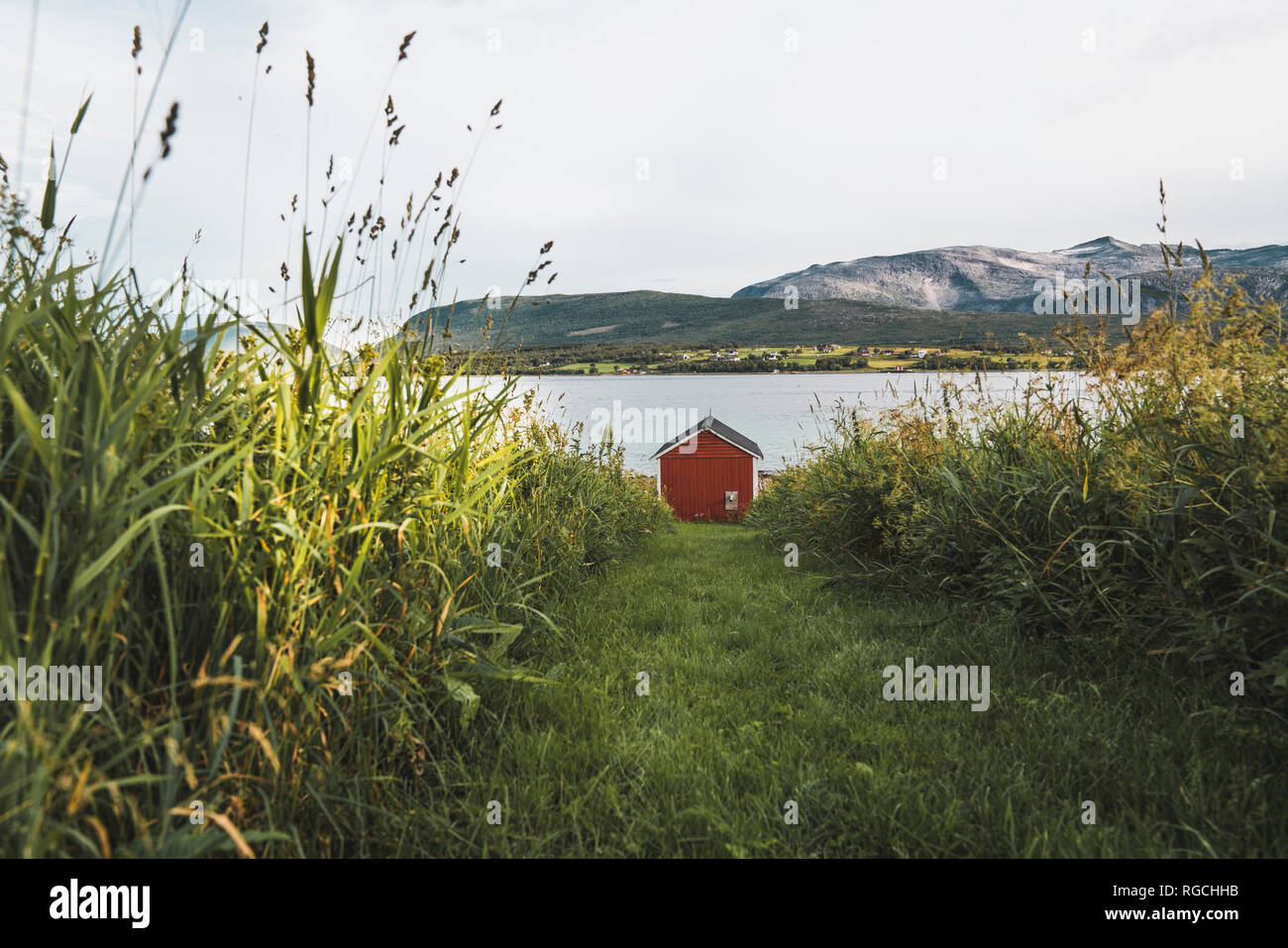 Northern Norway, Lapland, Red wood house at a fjord Stock Photo - Alamy