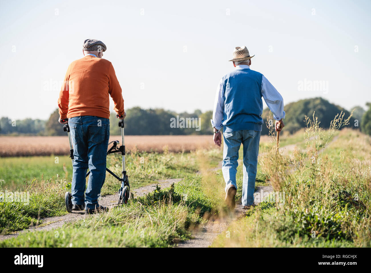 Old friends taking a stroll in the fields with walking stick and ...