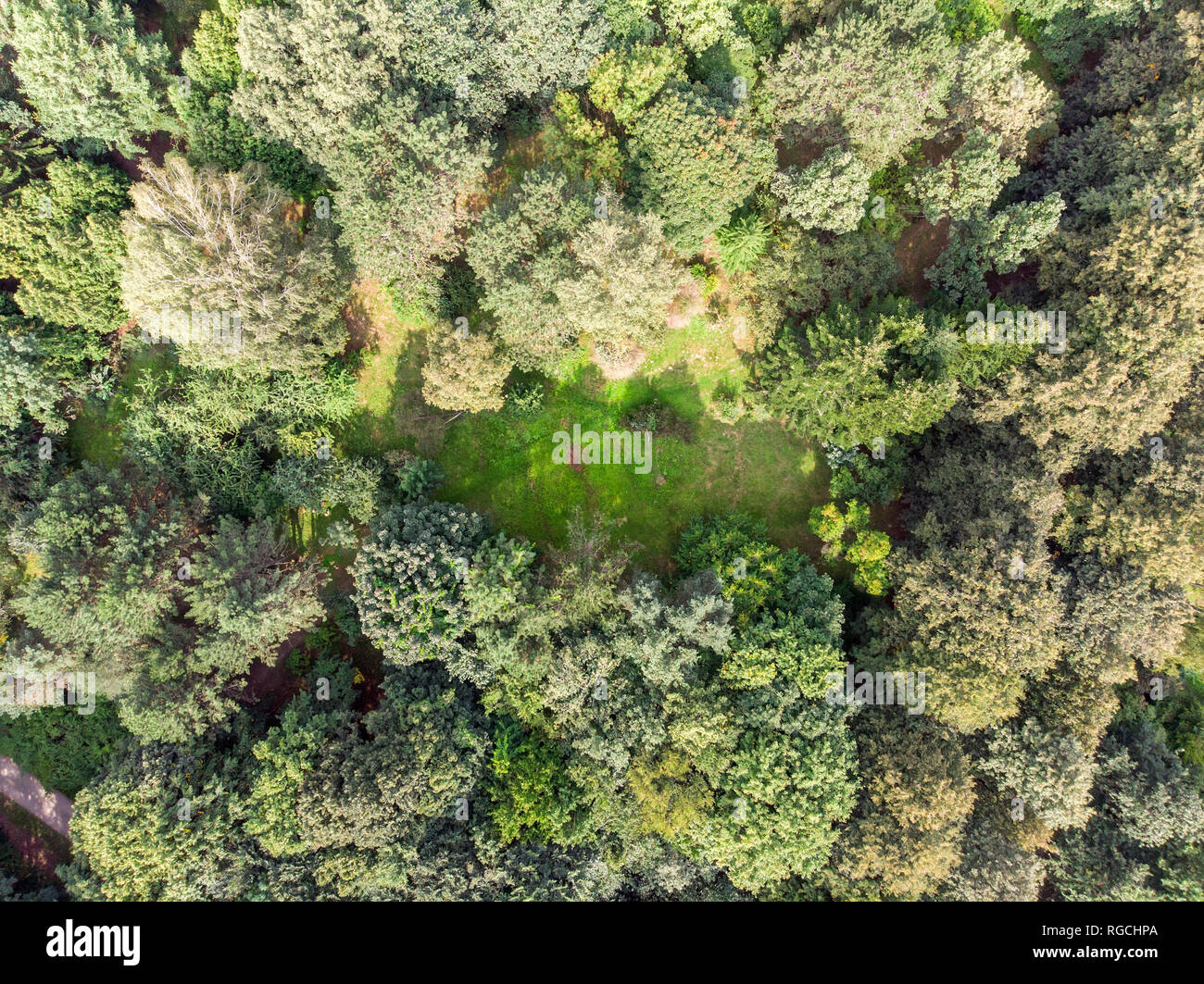 natural landscape. aerial top view of green park trees Stock Photo - Alamy