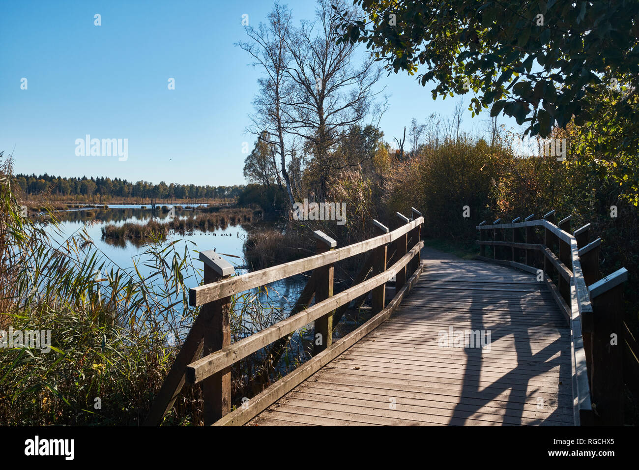 Germany, Baden-Wuerttemberg, Vilingen-Schwenningen, Schwenninger Moos ...