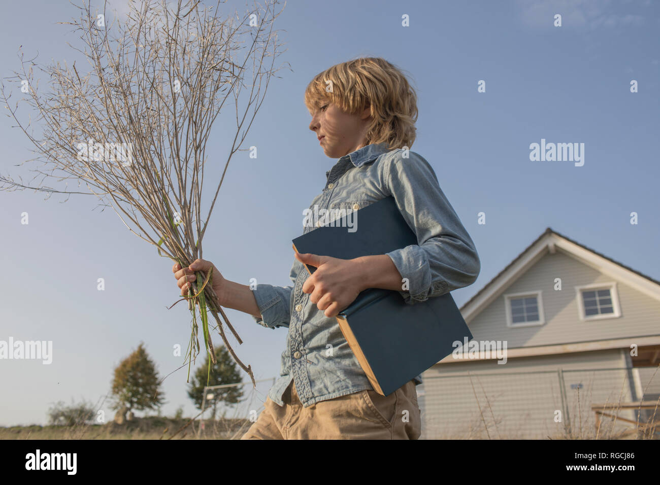 Boy with twigs and book Stock Photo - Alamy