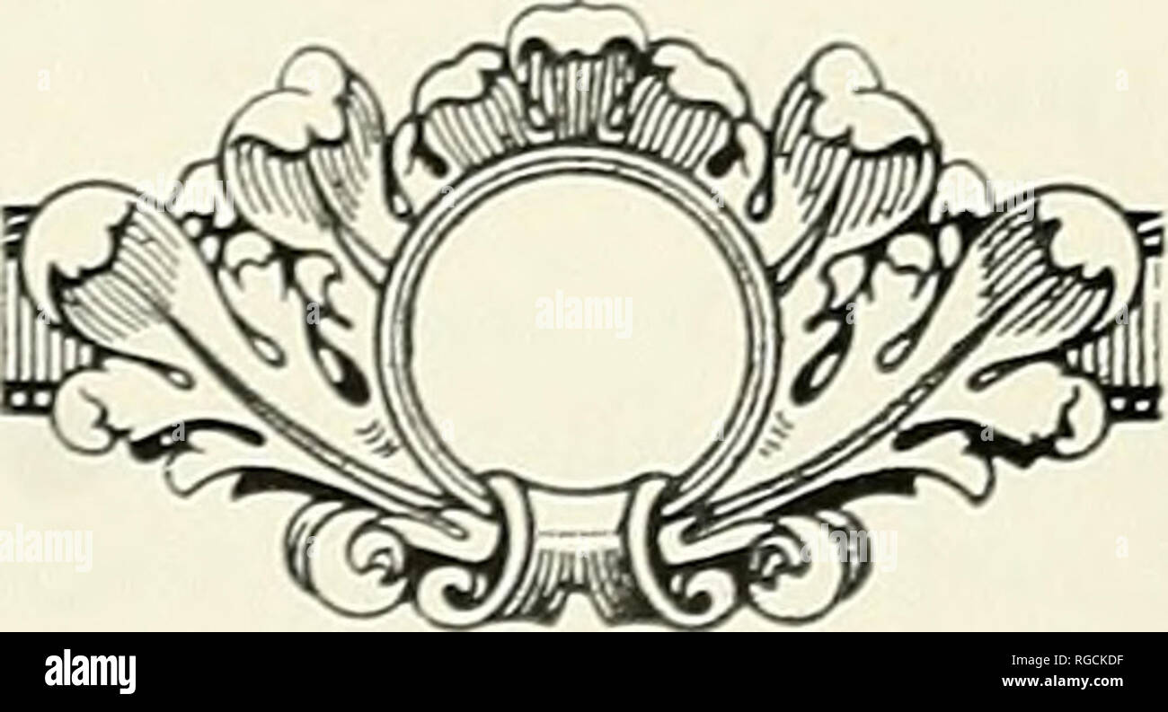 H m s tiger hi-res stock photography and images - Alamy