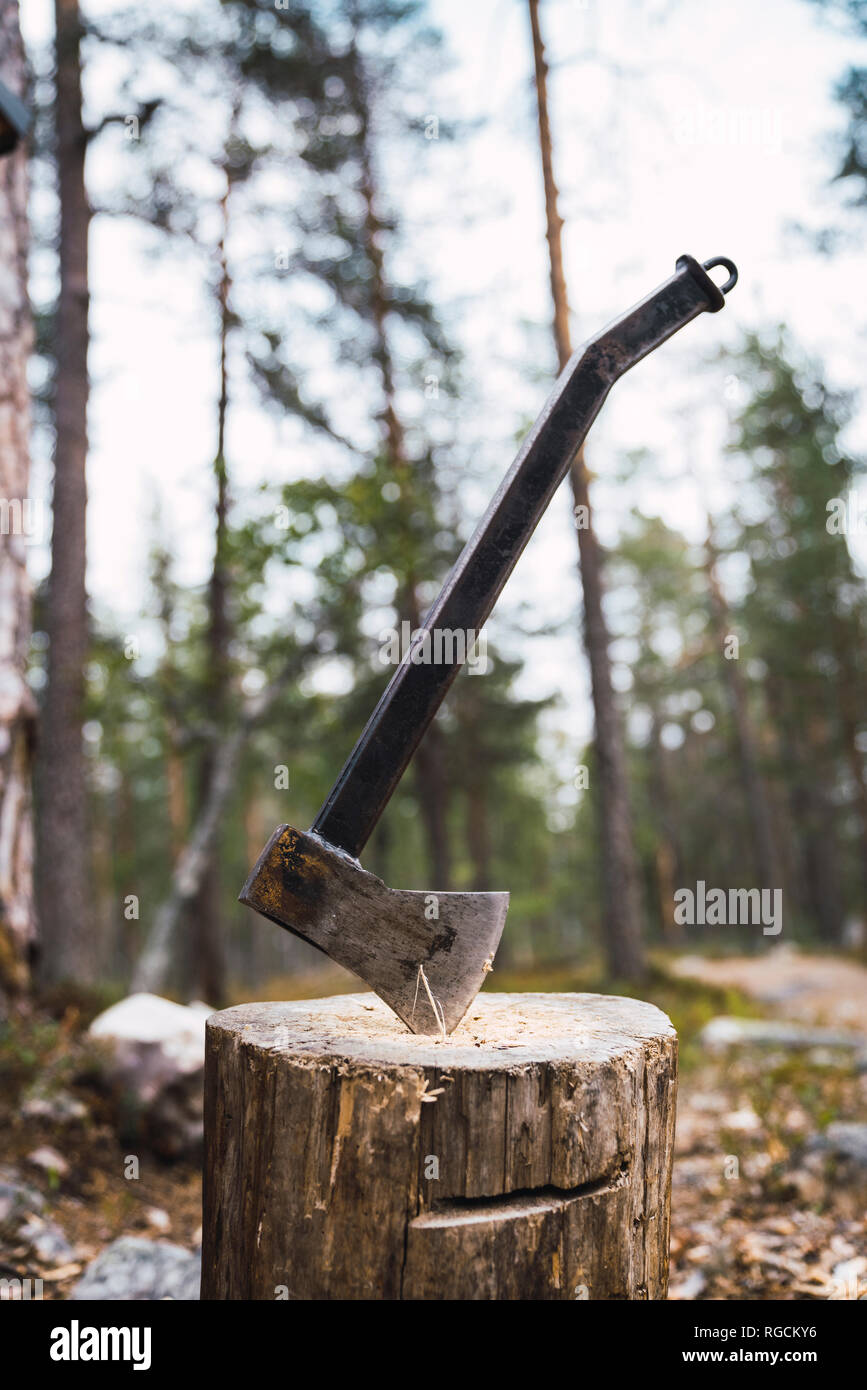 Axe stump hi-res stock photography and images - Alamy