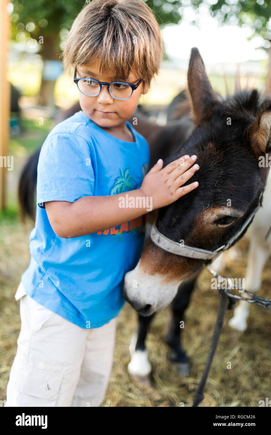 Portrait of little boy stroking mule Stock Photo - Alamy