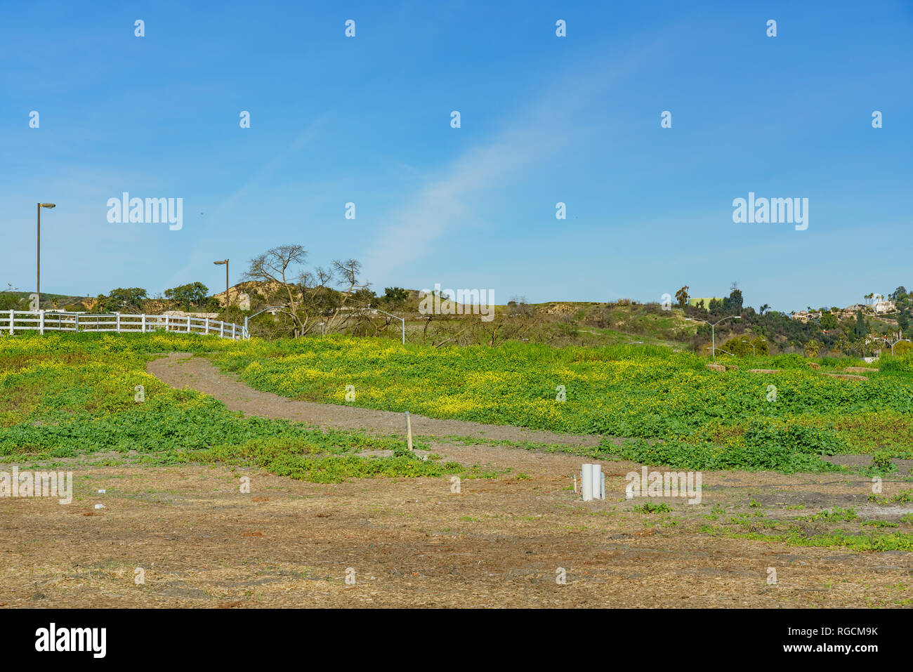 Pomona hi-res stock photography and images - Alamy