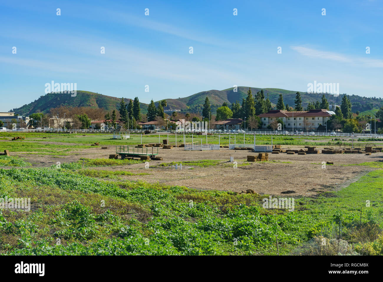 Pomona hi-res stock photography and images - Alamy