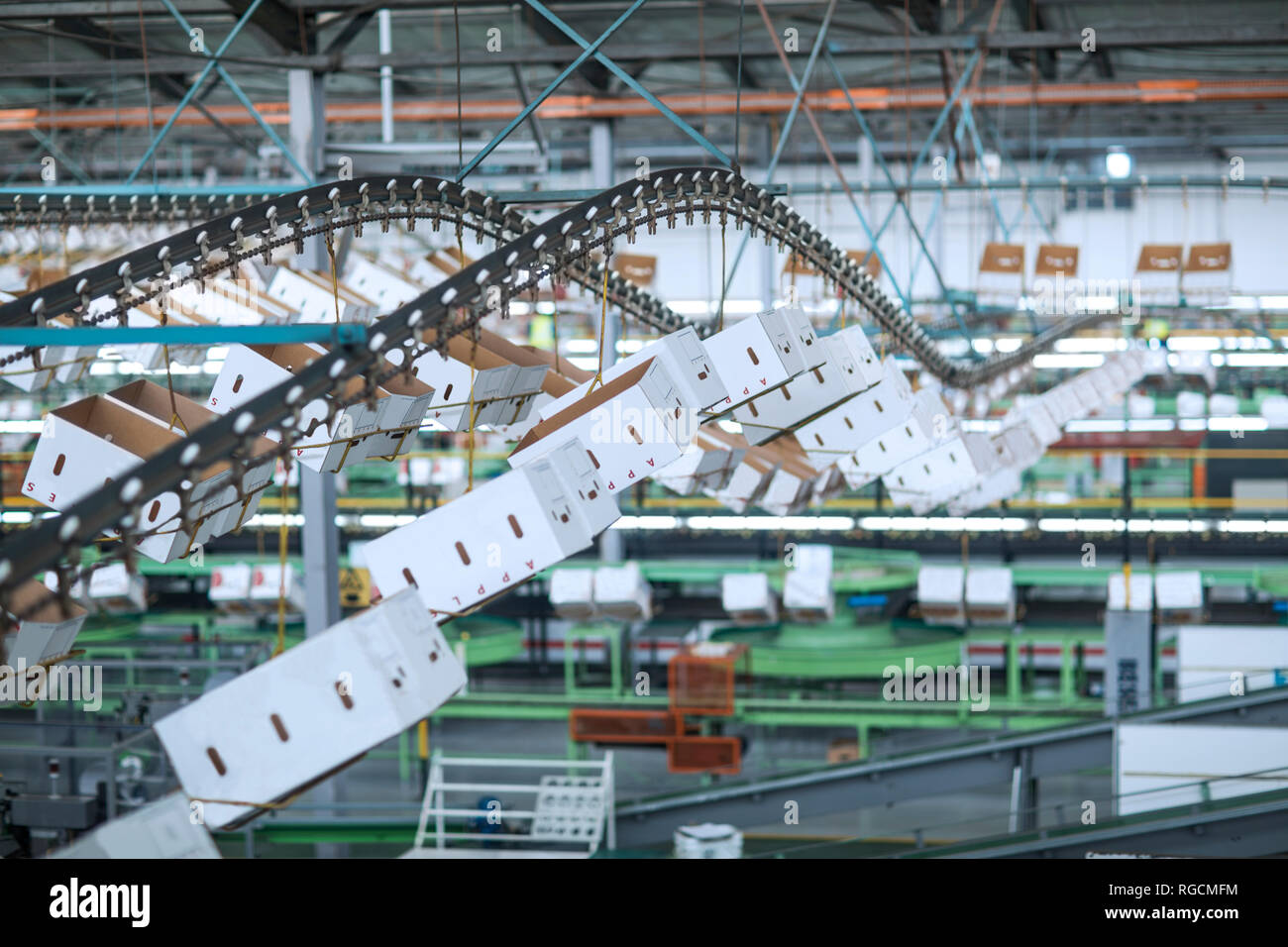 Cardboard boxes in a factory Stock Photo - Alamy