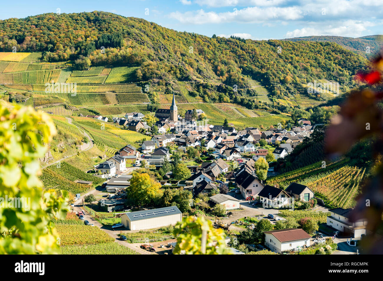 Ahr wine germany hi-res stock photography and images - Alamy