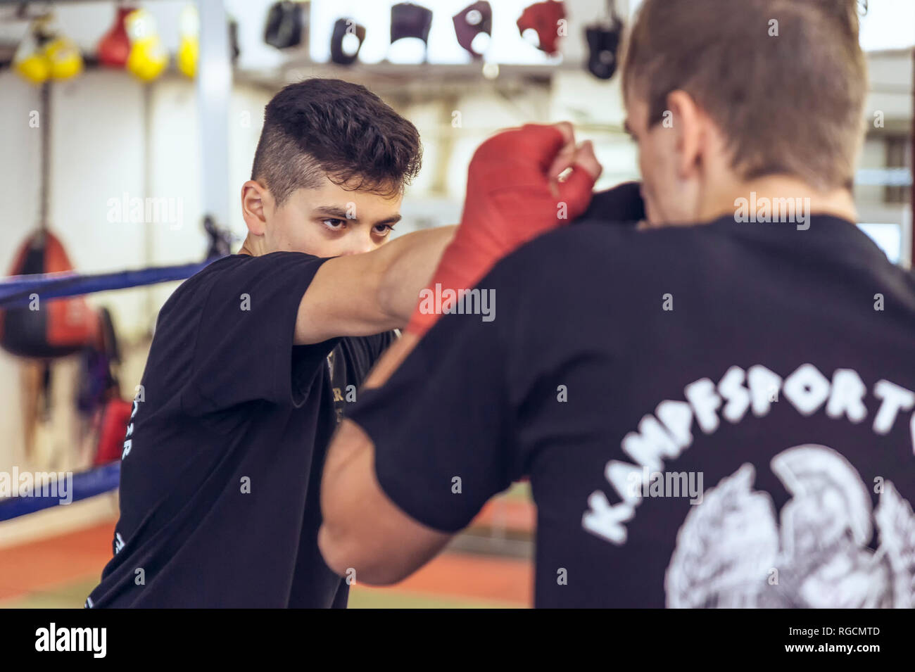 Two young martial artists fighting Stock Photo - Alamy