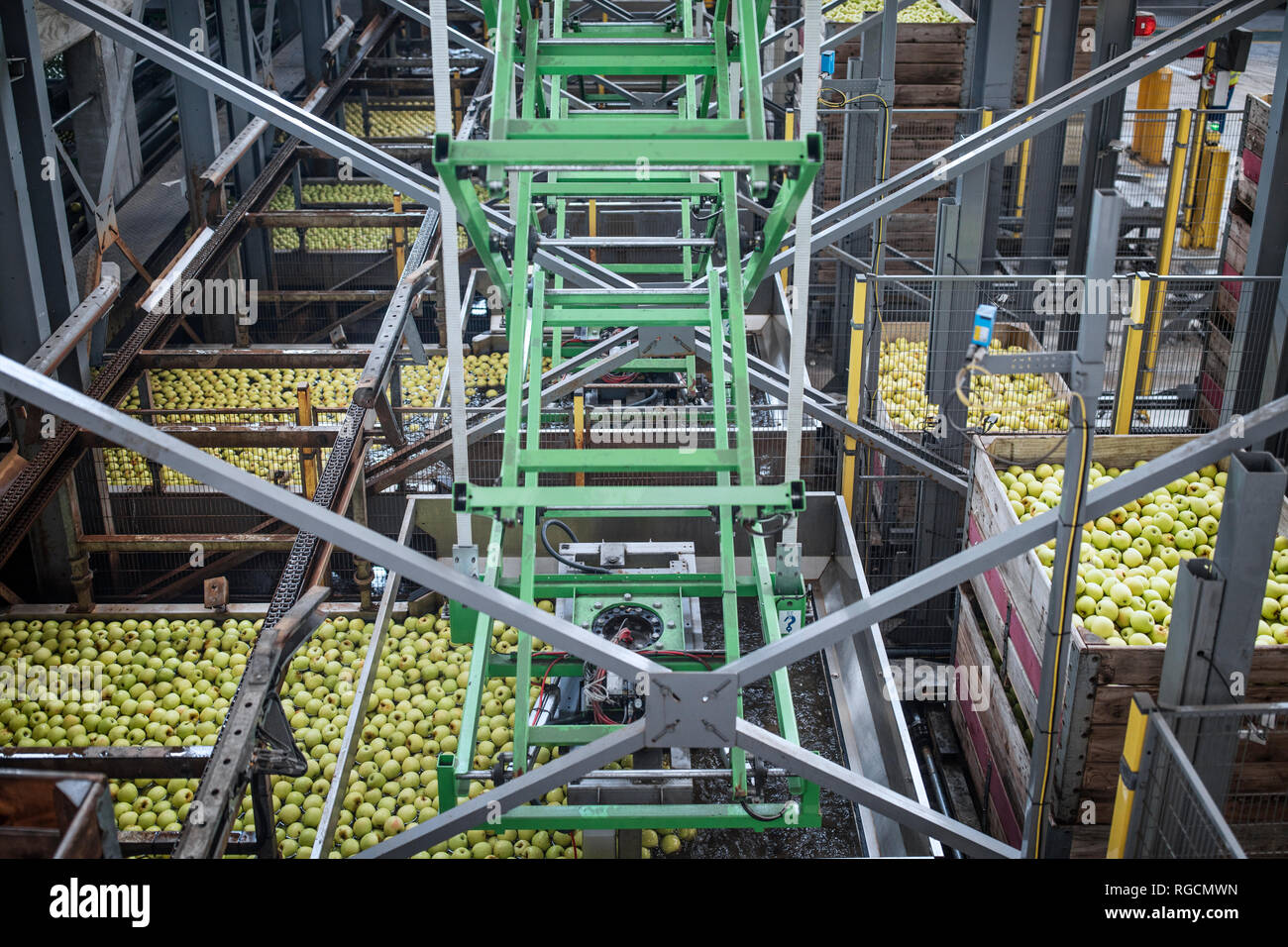 Packed apples hi-res stock photography and images - Alamy