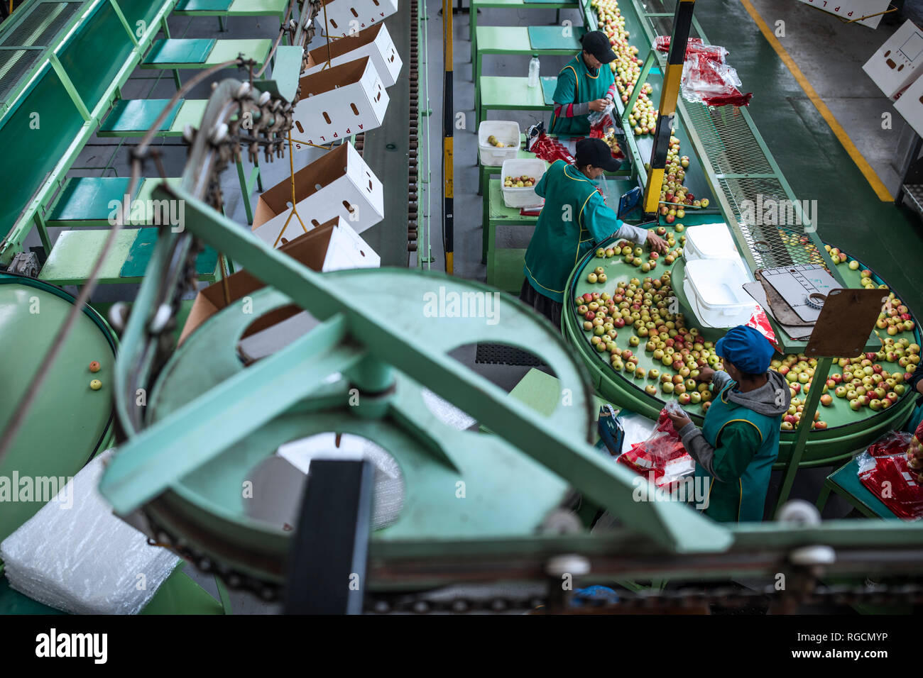 Women and apple hi-res stock photography and images - Alamy