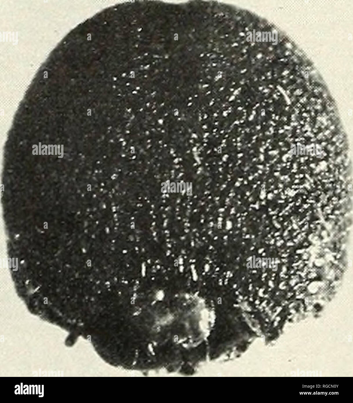 . Bulletin of the Southern California Academy of Sciences. Science ...