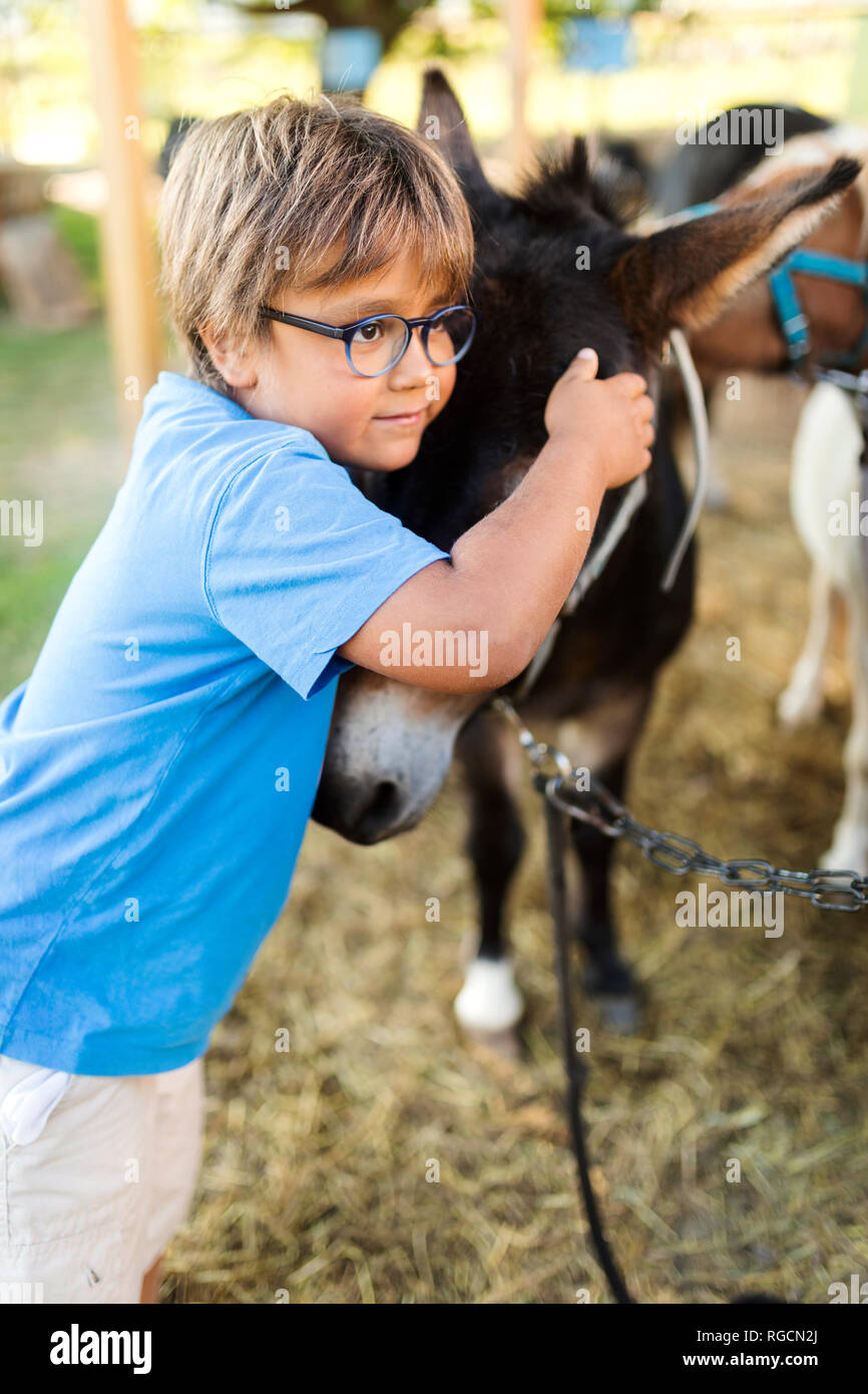 Portrait of little boy hugging mule Stock Photo - Alamy