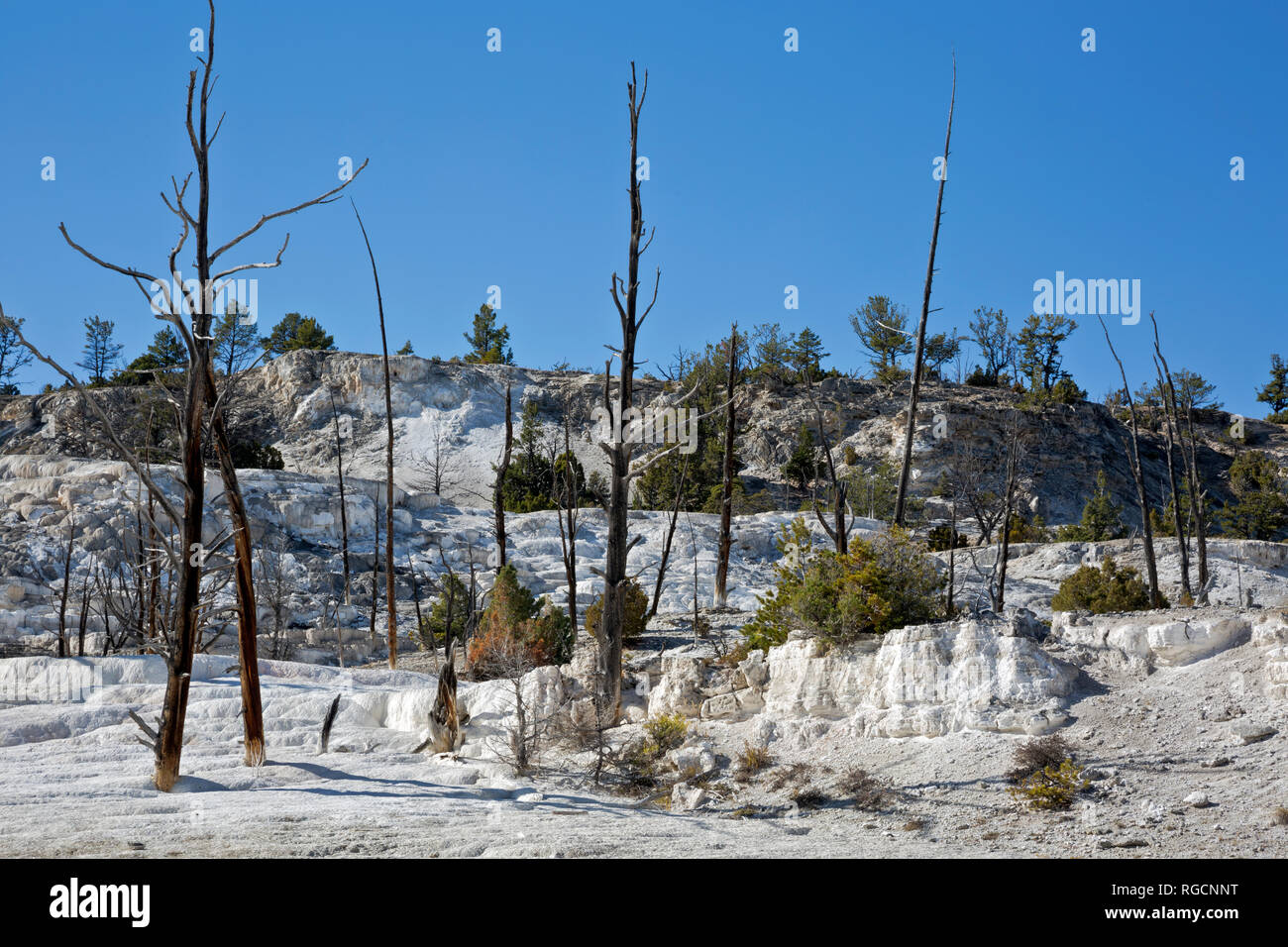 Angel terrace hi-res stock photography and images - Alamy