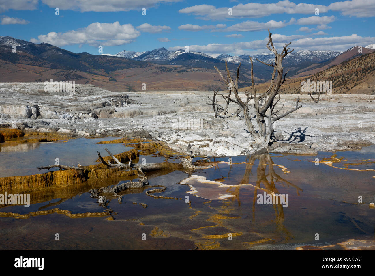 Greater yellowstone ecosystem hi-res stock photography and images - Alamy