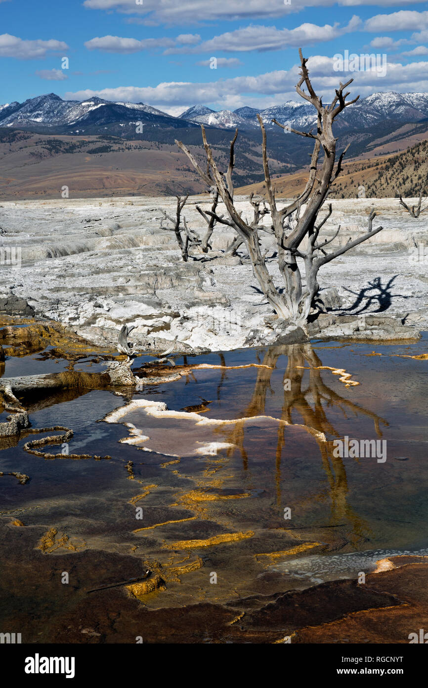 Greater yellowstone ecosystem hi-res stock photography and images - Alamy