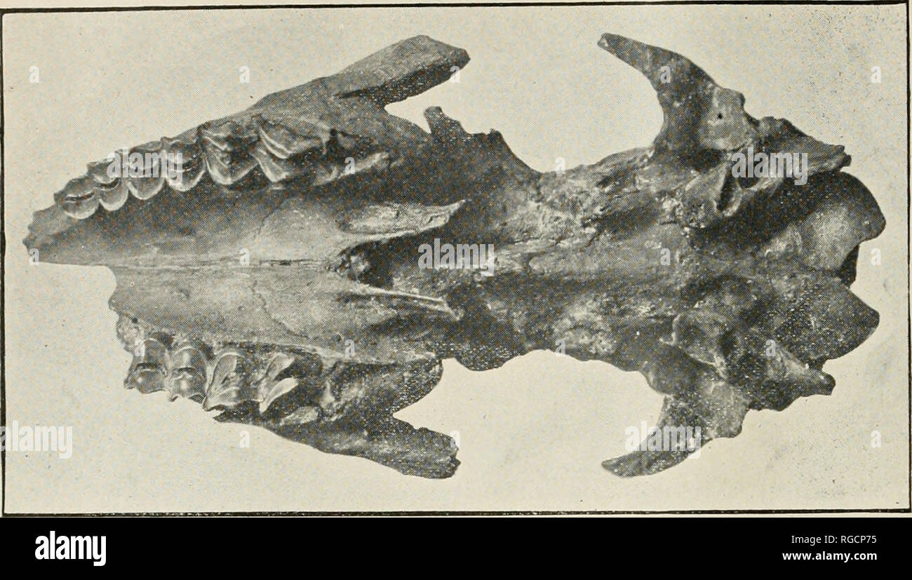 . Bulletin of the Southern California Academy of Sciences. Science ...