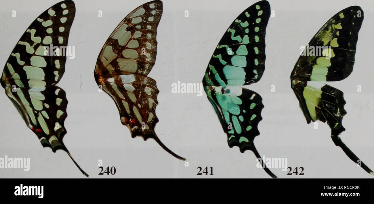 . Bulletin of the Natural History Museum Entomology. AFROTROPICAL ...