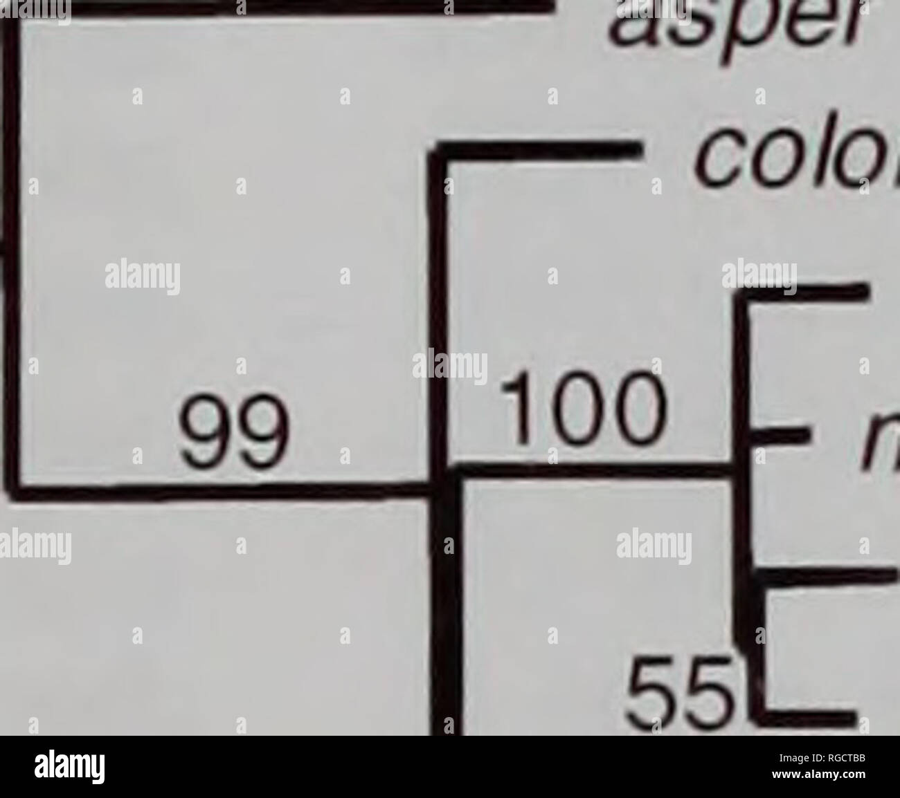 Bothrops colombiensis hi-res stock photography and images - Alamy