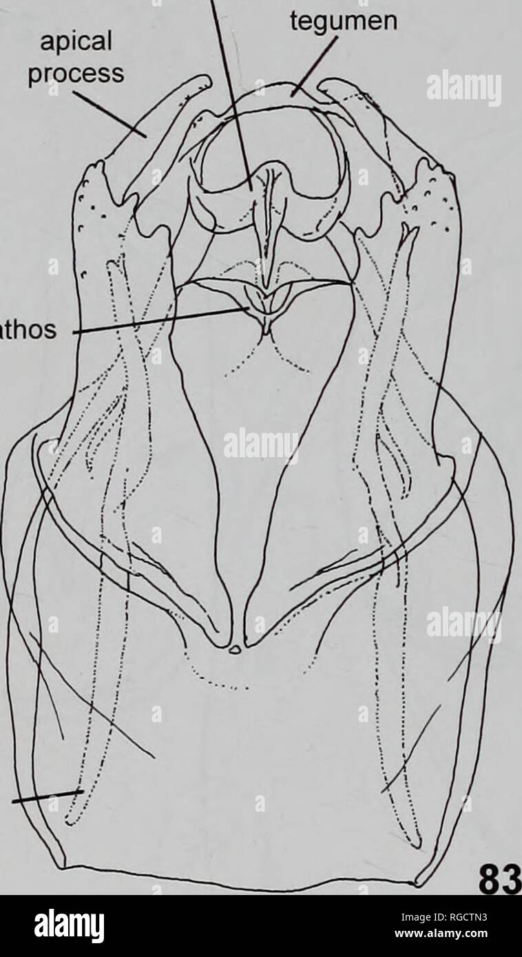 . Bulletin of the Natural History Museum Entomology. 78 R. PUPLESIS AND ...